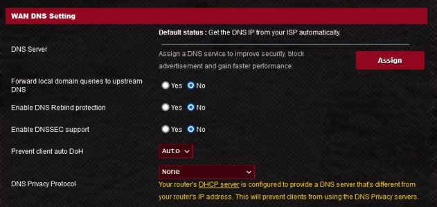 Proper DNS setting? | SNBForums